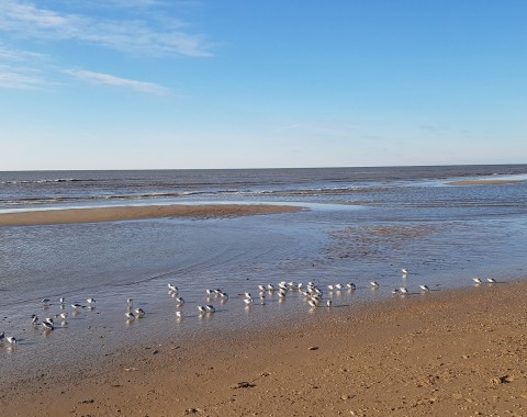 Alle arrangementen - Hotel Zuiderduin